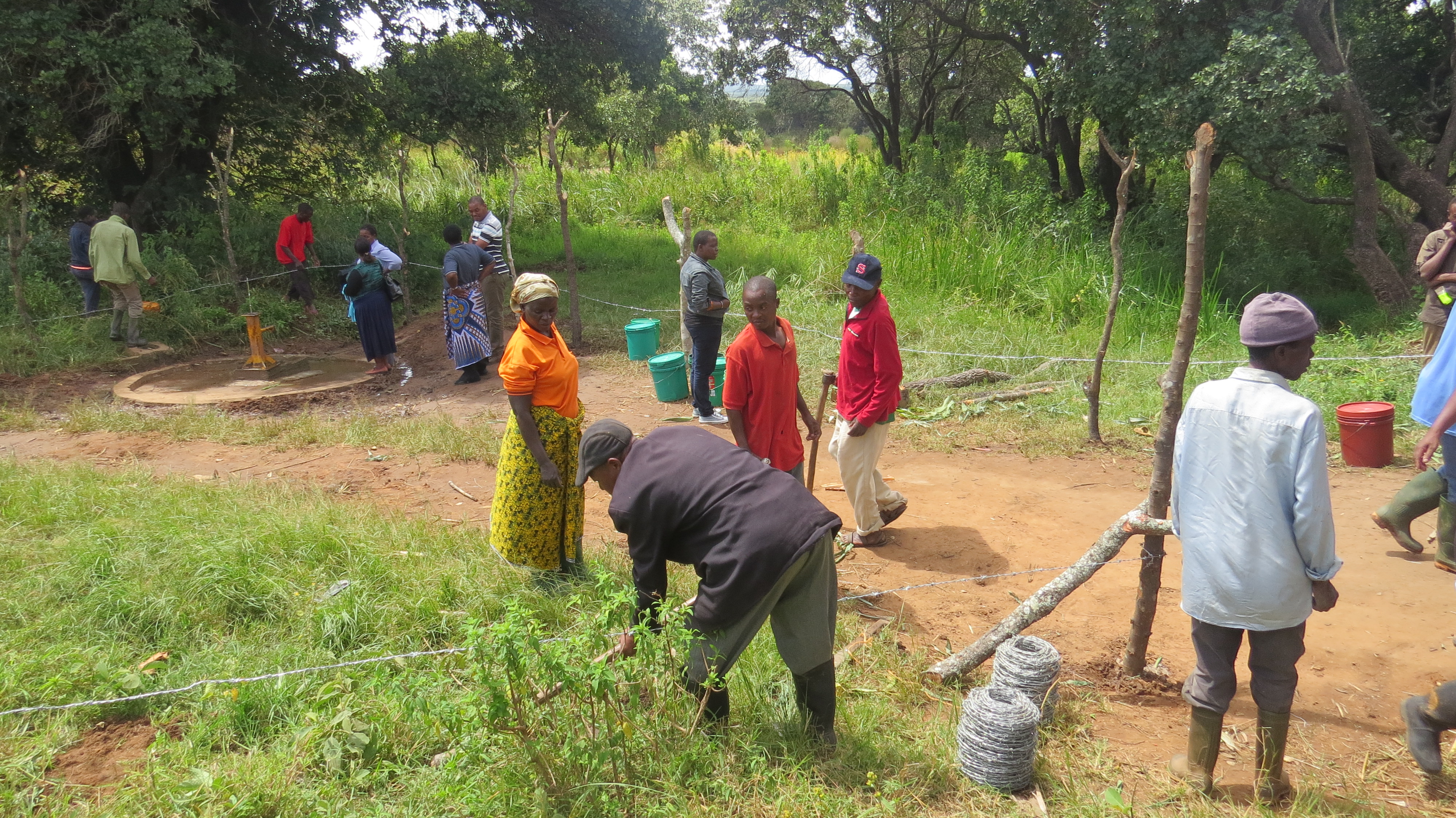 Sustainable Water Access and Use for Ruaha Upstream and Downstream ...