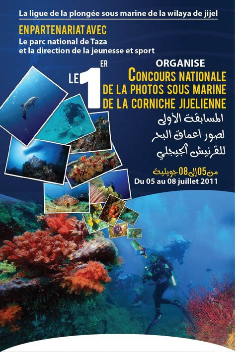 Underwater photo competition in Algeria | WWF