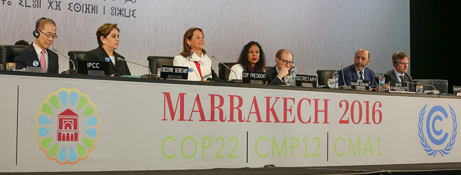 Paris Agreement passes first stress test at COP22 | WWF