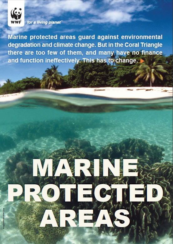 Coral Triangle Marine Protected Areas Brochure | WWF