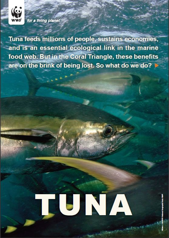 Coral Triangle Tuna Brochure | WWF