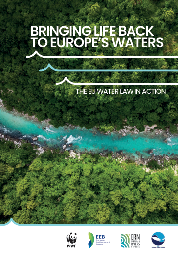 Bringing life back to Europe's waters: The EU water law in action | WWF