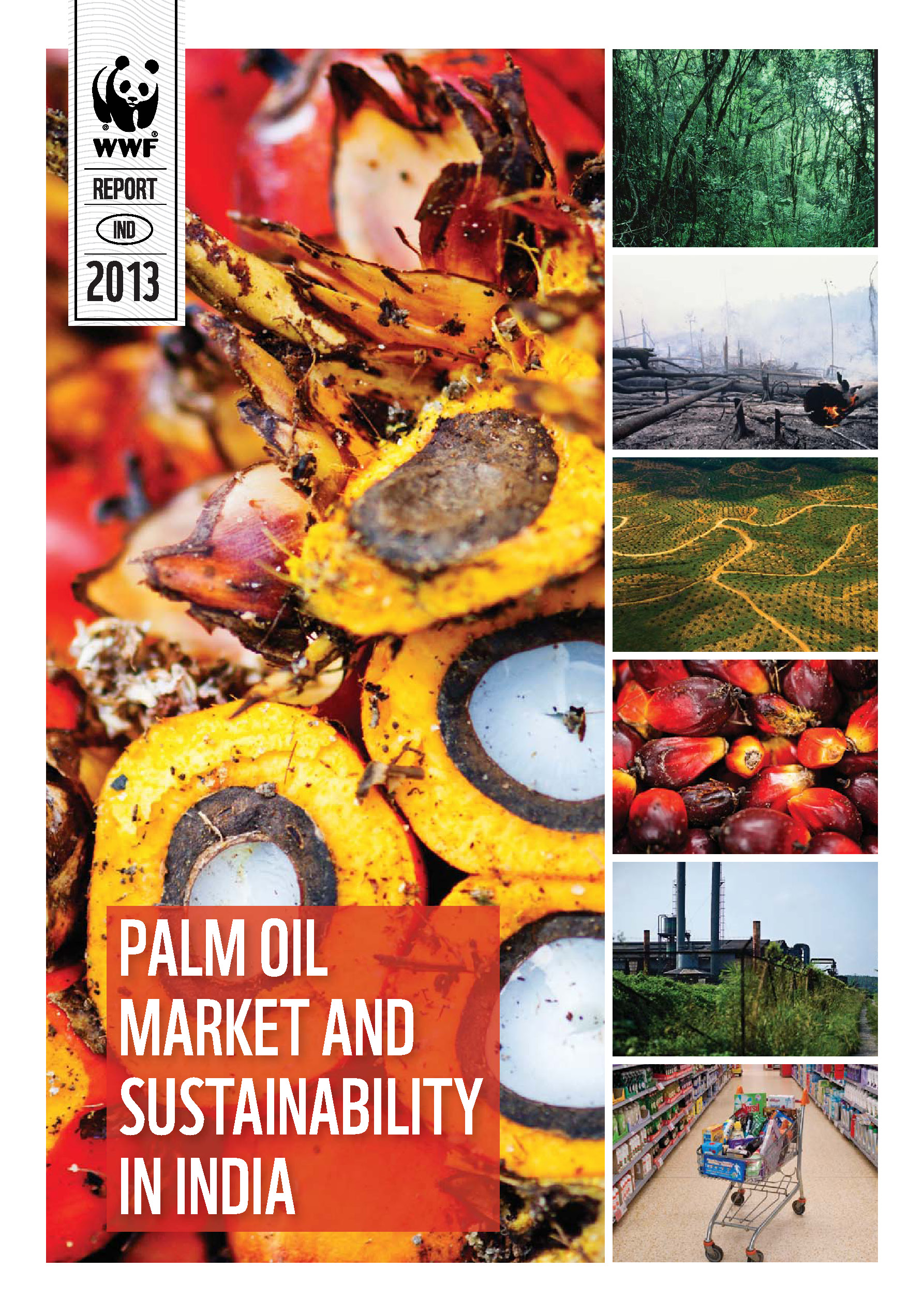 REPORT: Palm oil market and sustainability in India | WWF