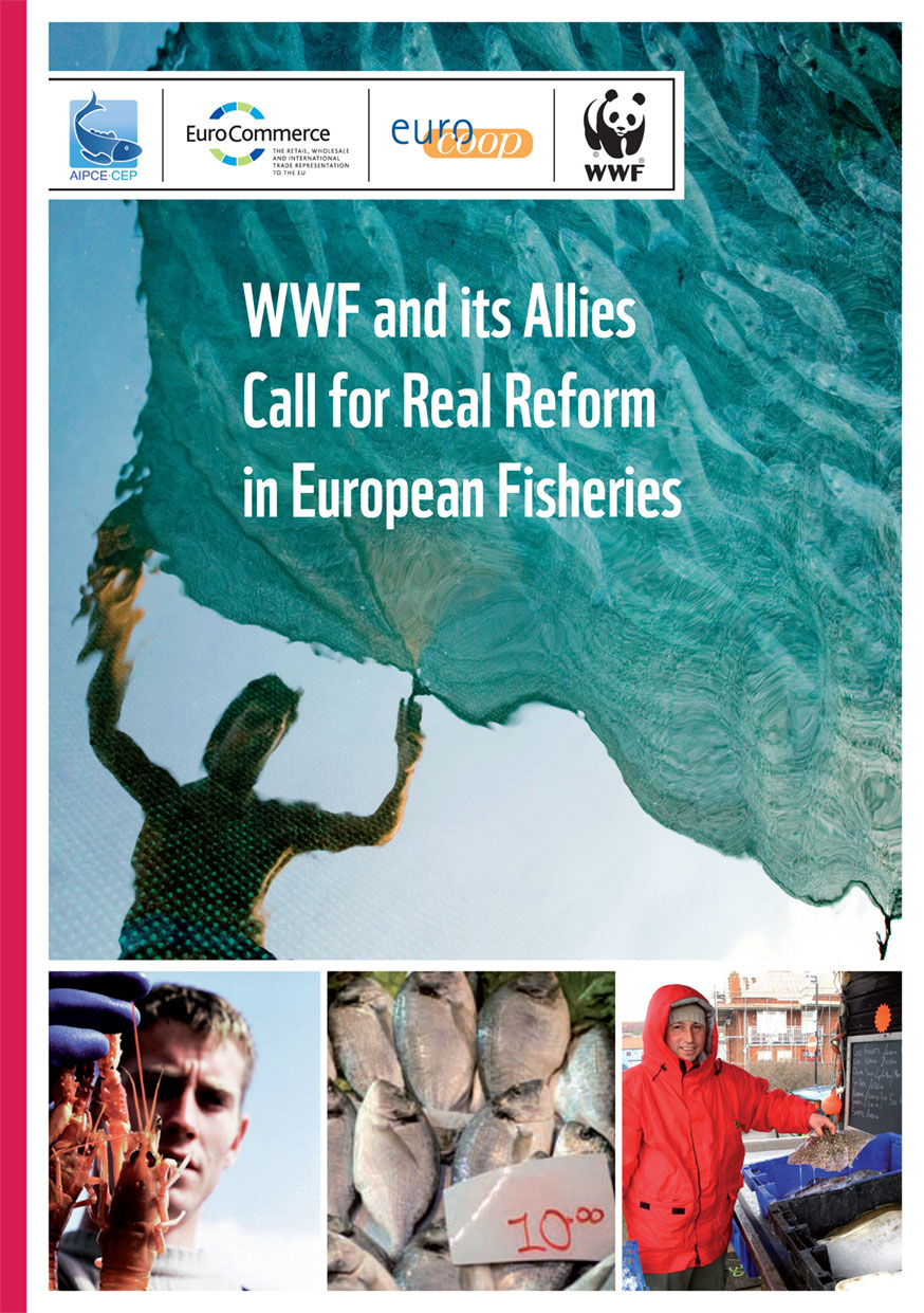 Europe must lead in turning worldwide trend of overfishing around | WWF