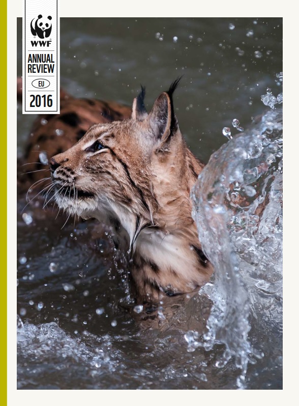 WWF Annual Review 2016 | WWF