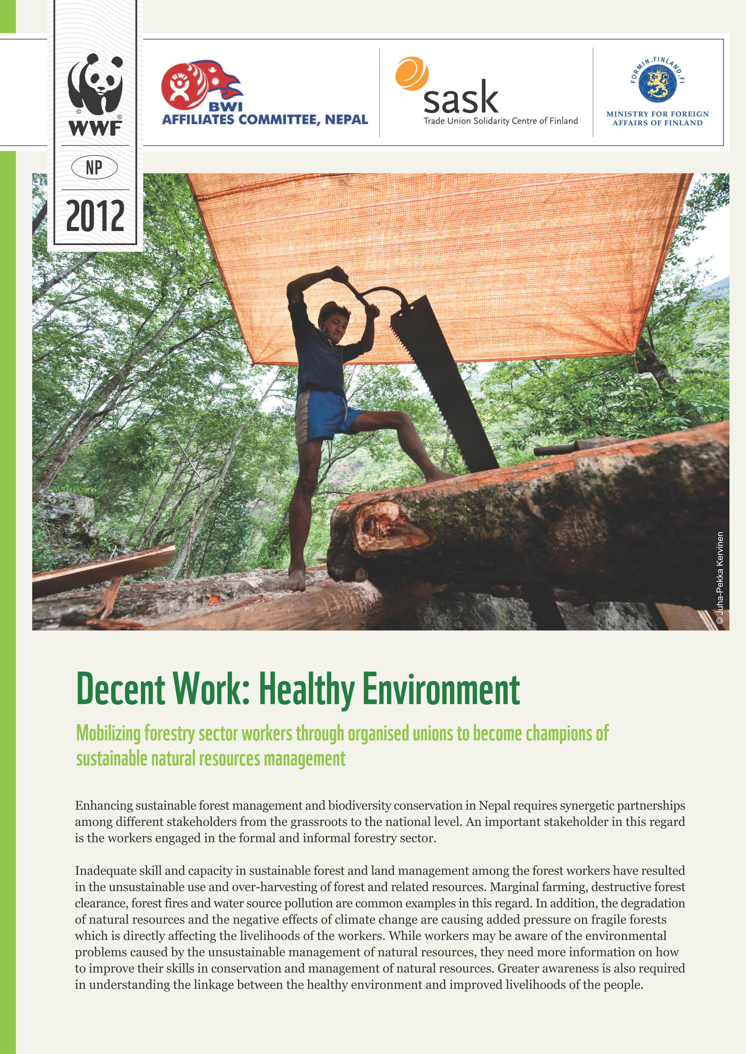 Decent Work: Healthy Environment | WWF