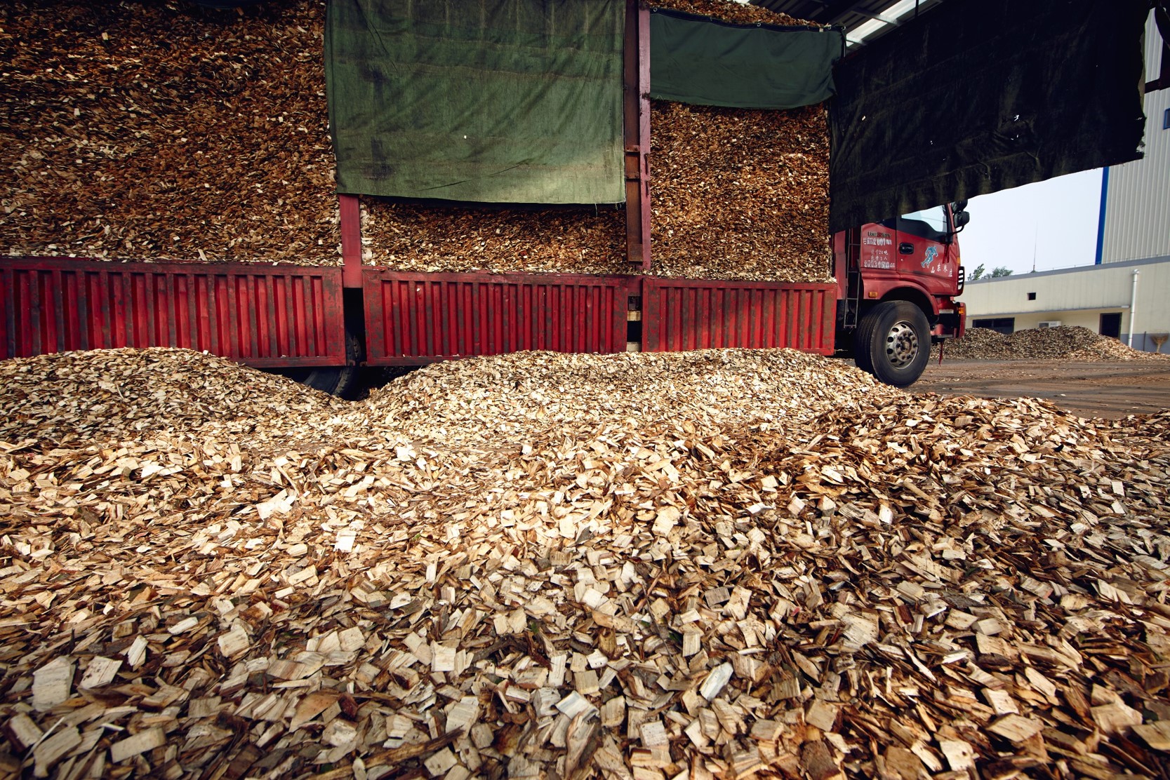 China Sustainable Paper Alliance Towards More Responsibly Sourced Pulp china-sustainable-paper-alliance-towards-more-responsibly-sourced-pulp