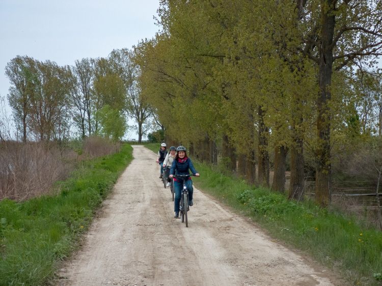 New Cycling Tourism Destination in Călărași, Romania | WWF