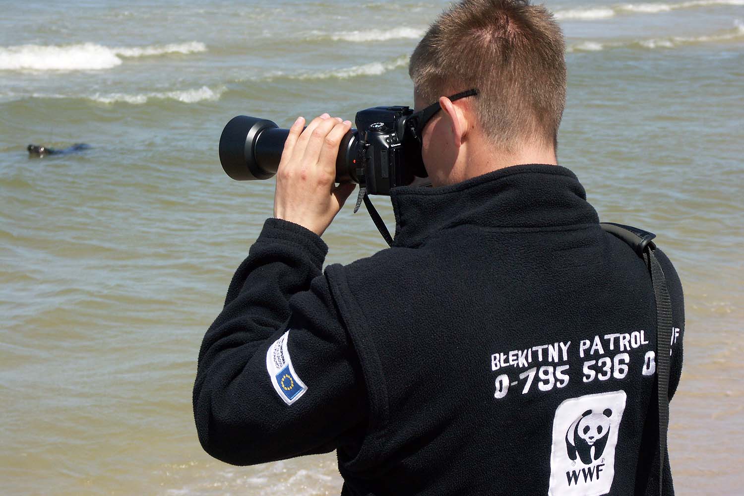 WWF-Poland's Blue Patrol volunteers monitor the Baltic Coast | WWF
