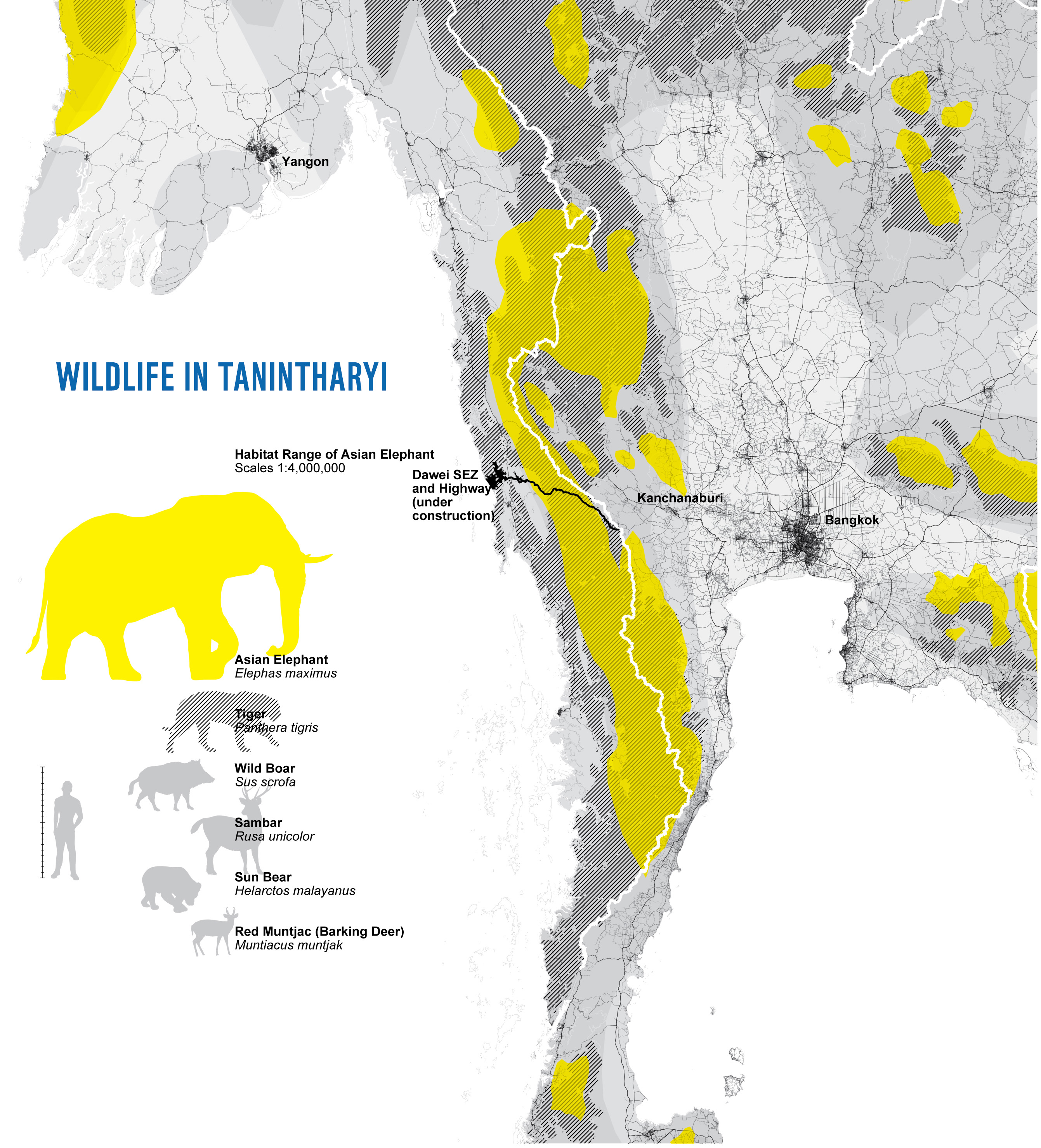 WWF expresses concern to Dawei Special Economic Zone (SEZ) Road | WWF