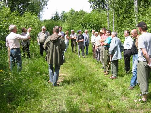 Demonstration farms in Latvia show the path to sustainable forestry | WWF