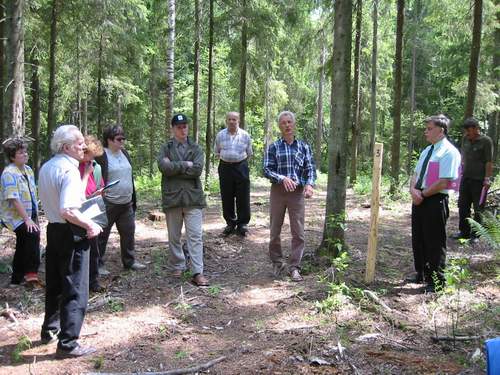 Demonstration farms in Latvia show the path to sustainable forestry | WWF