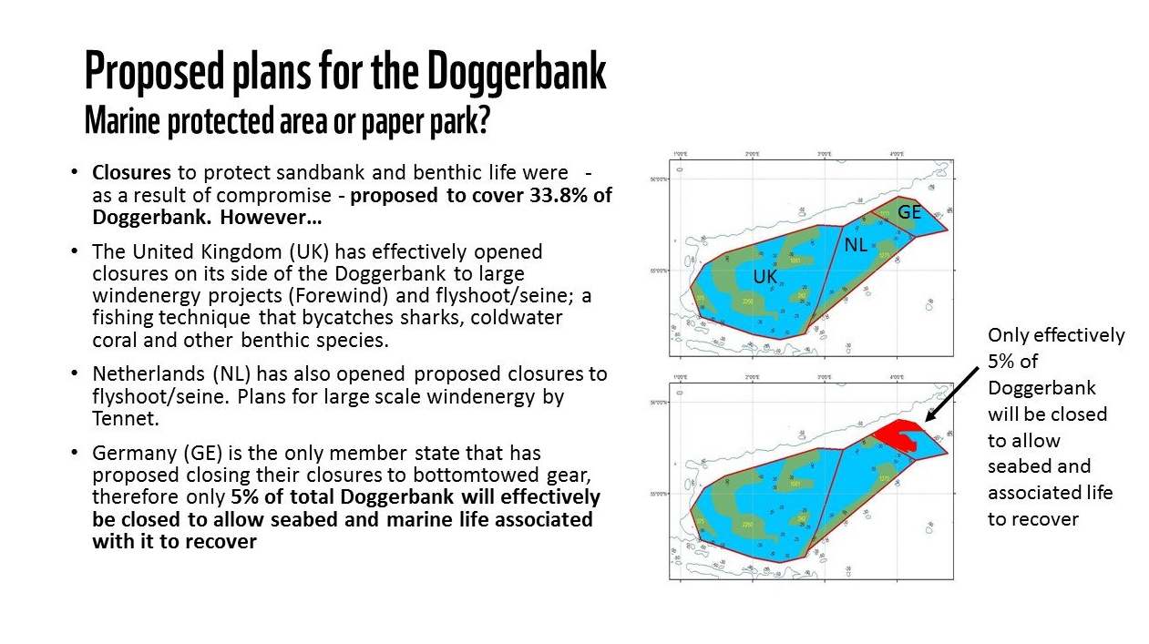 Protection of the North Sea’s largest sandbank in question: WWF ...
