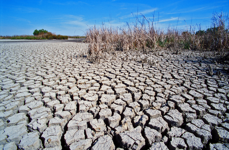 Feeling hot? Bad water management aggravating drought, says new paper | WWF