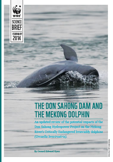 The Don Sahong dam and the Mekong dolphin | WWF