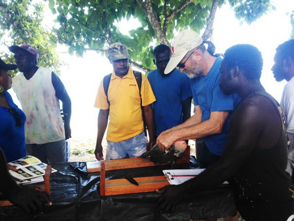 Sustainable fisheries, island style | WWF