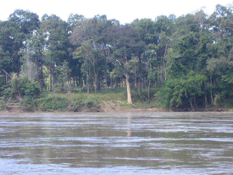 The wild of Cambodian dry forests | WWF