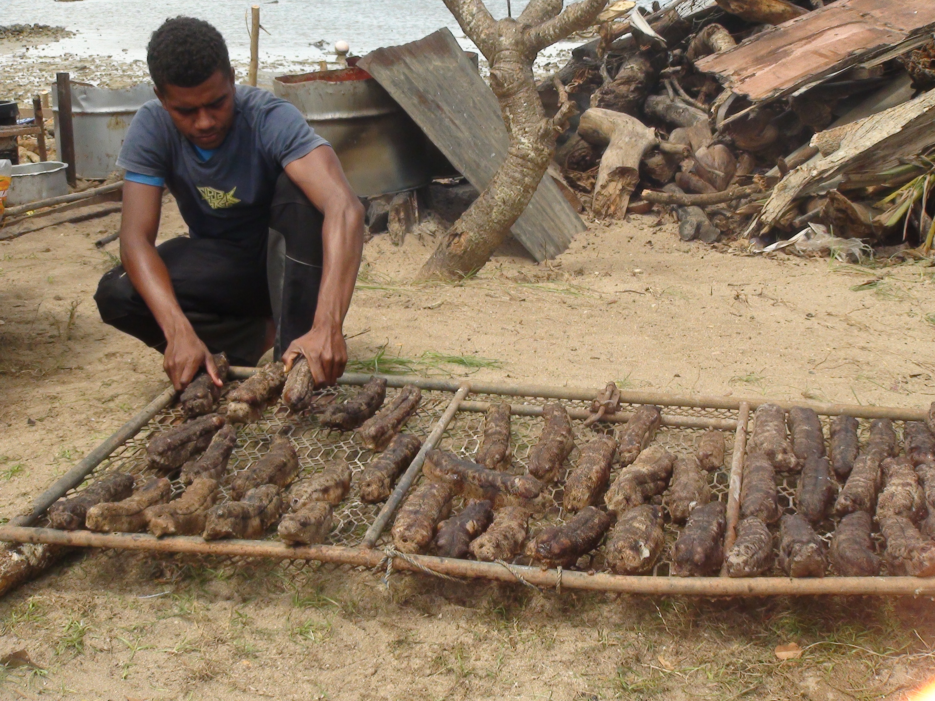 Galoa Bans Turtle Consumption | WWF