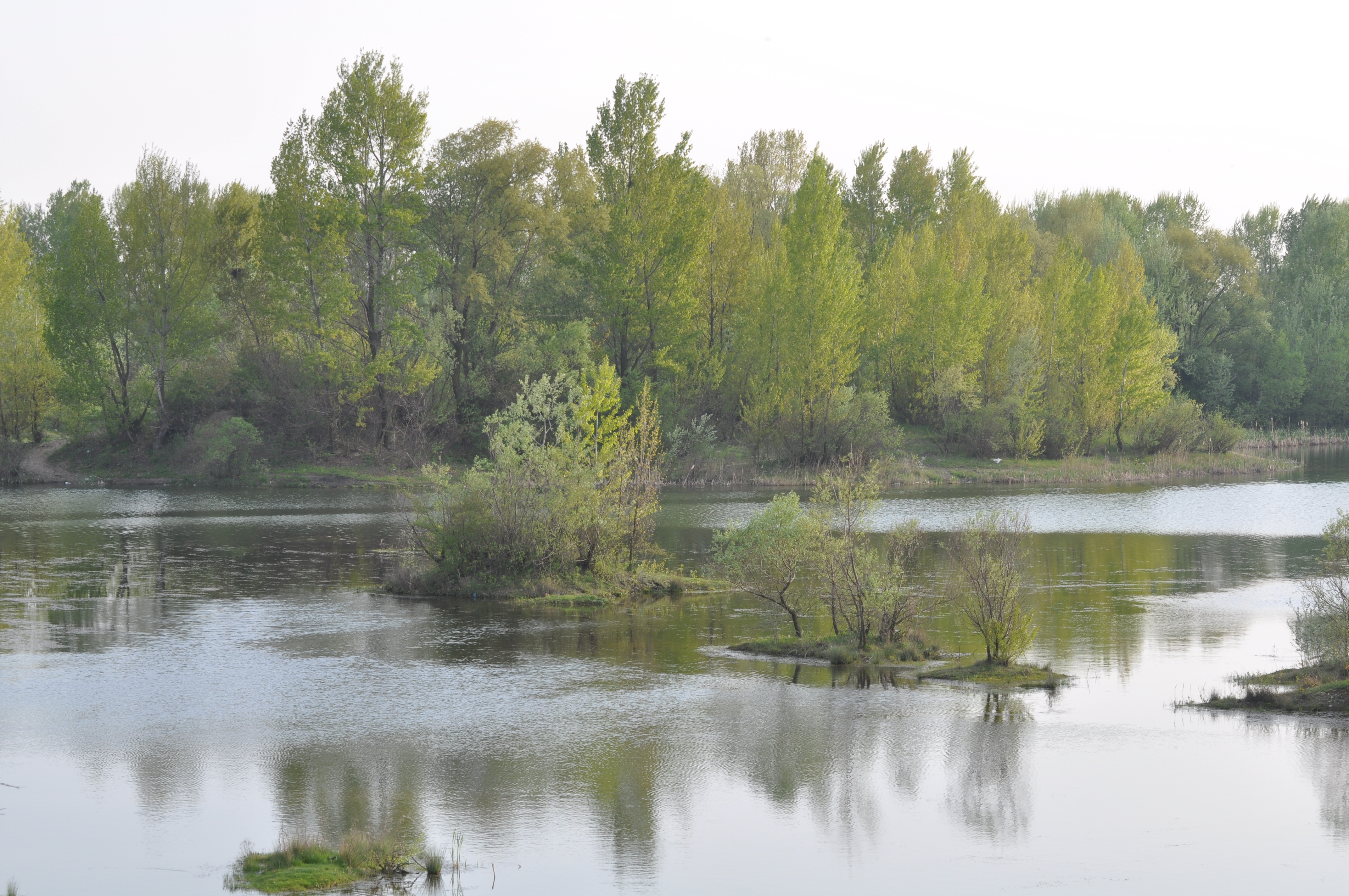Lafarge focus on quarry rehabilitation in Romania | WWF