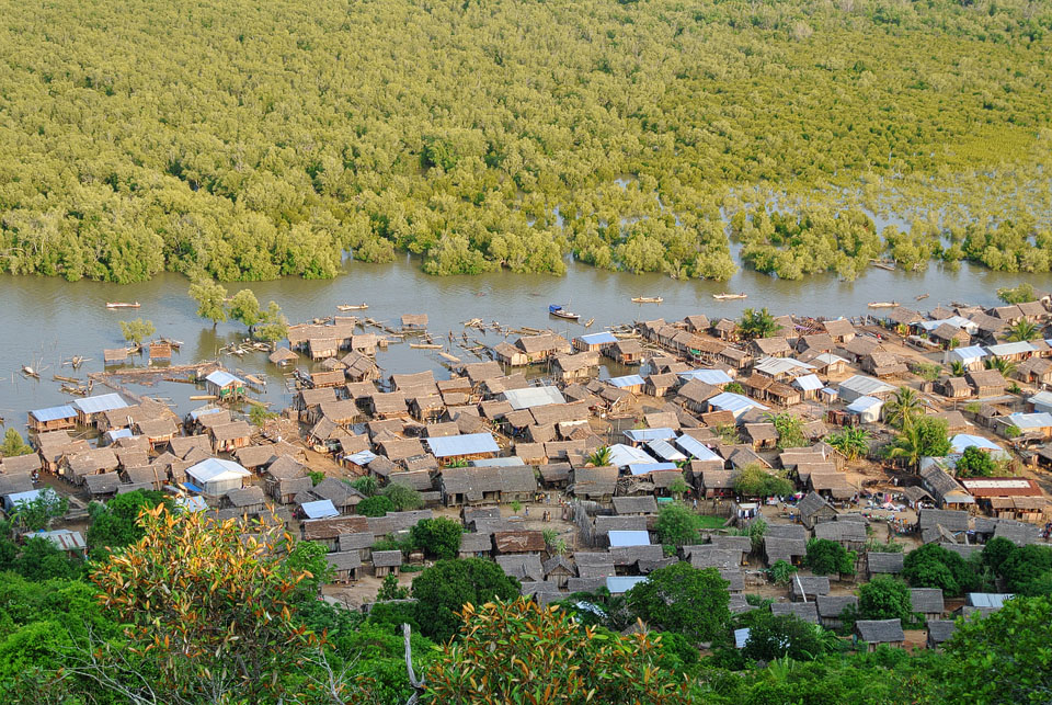 From community cohesion to mangrove conservation | WWF