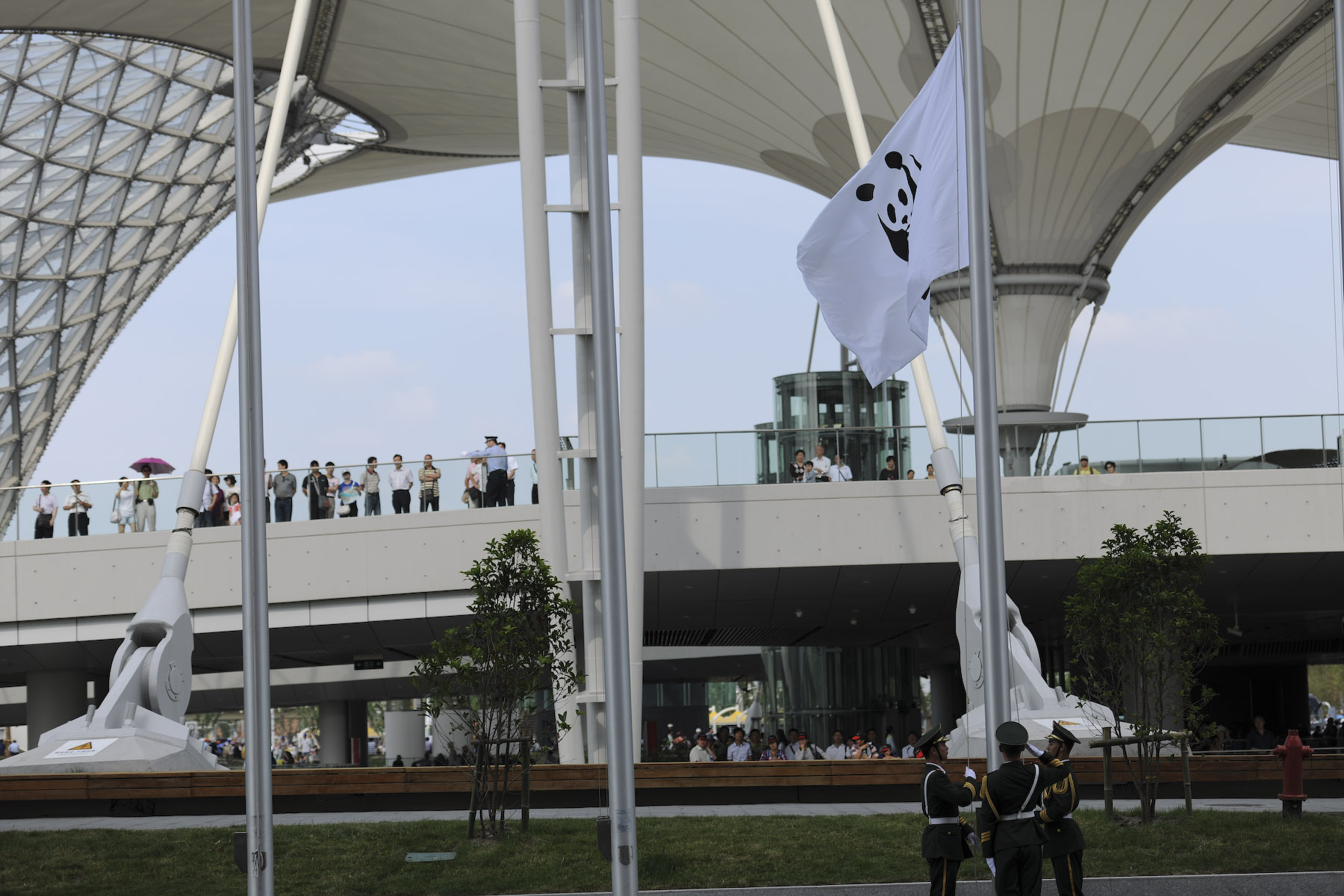 A Long Green March: WWF Celebrates 30 Years in China | WWF