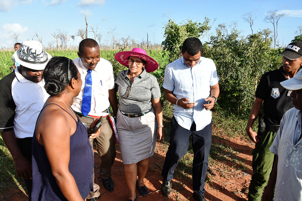 The Alley of Baobabs may disappear! | WWF