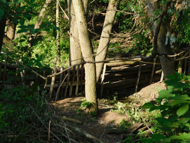 Climate Change Poses New Water Management Challenges | WWF