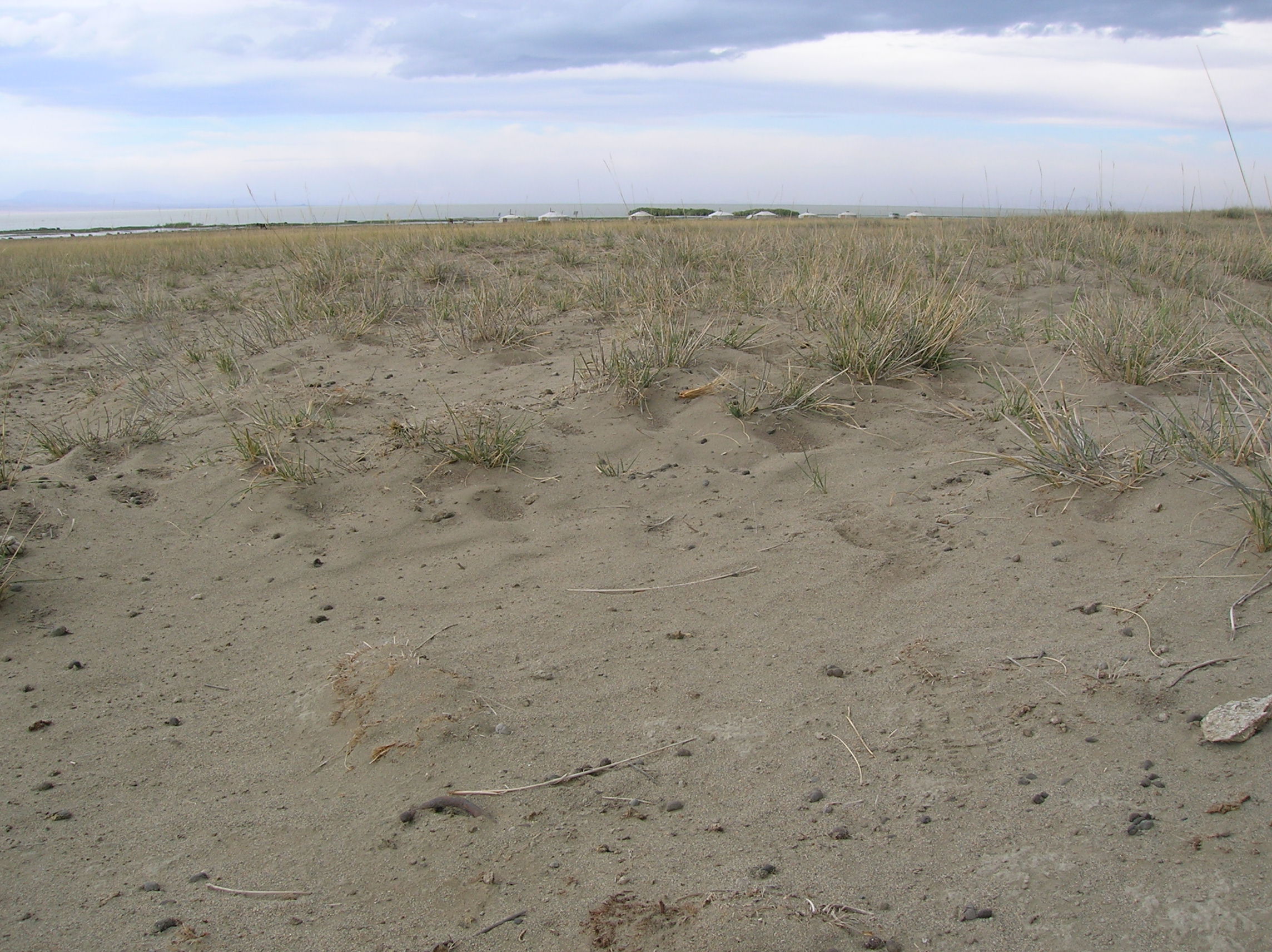 Climate Witness: Marush Narankhuu, Mongolia | WWF