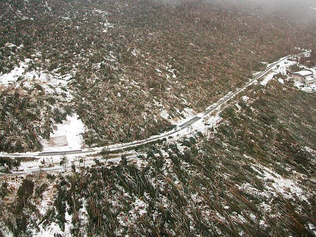Natural windstorm requires natural solutions | WWF