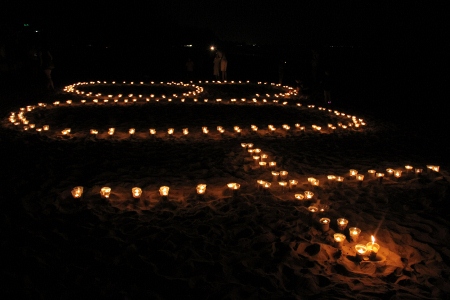 Living Green economy message goes ‘beyond’ expectations during Earth ...