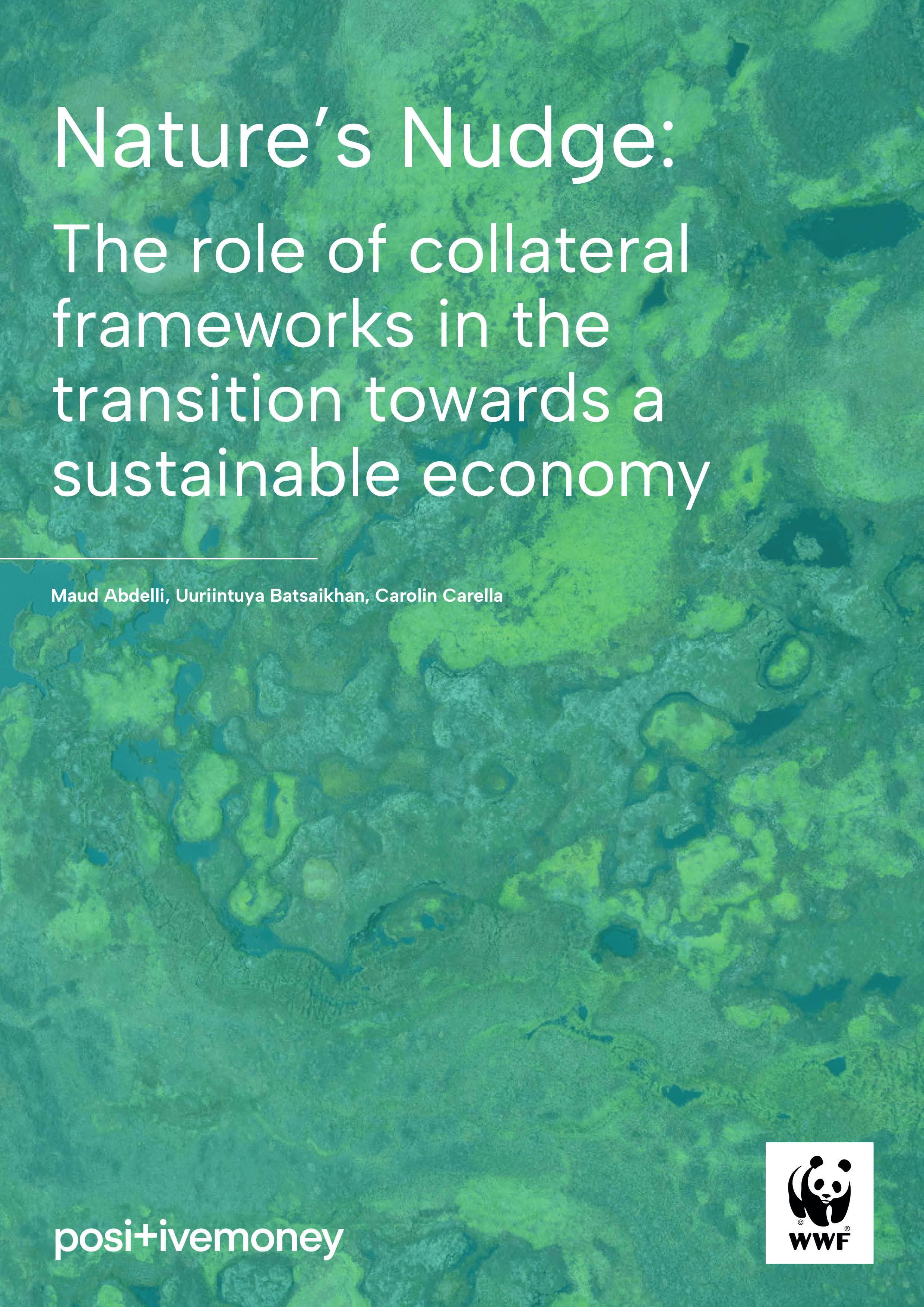 European Central Bank must seize the chance to take responsibility and ...