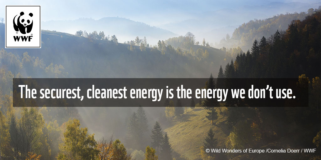 Briefing on the energy efficiency directive review | WWF