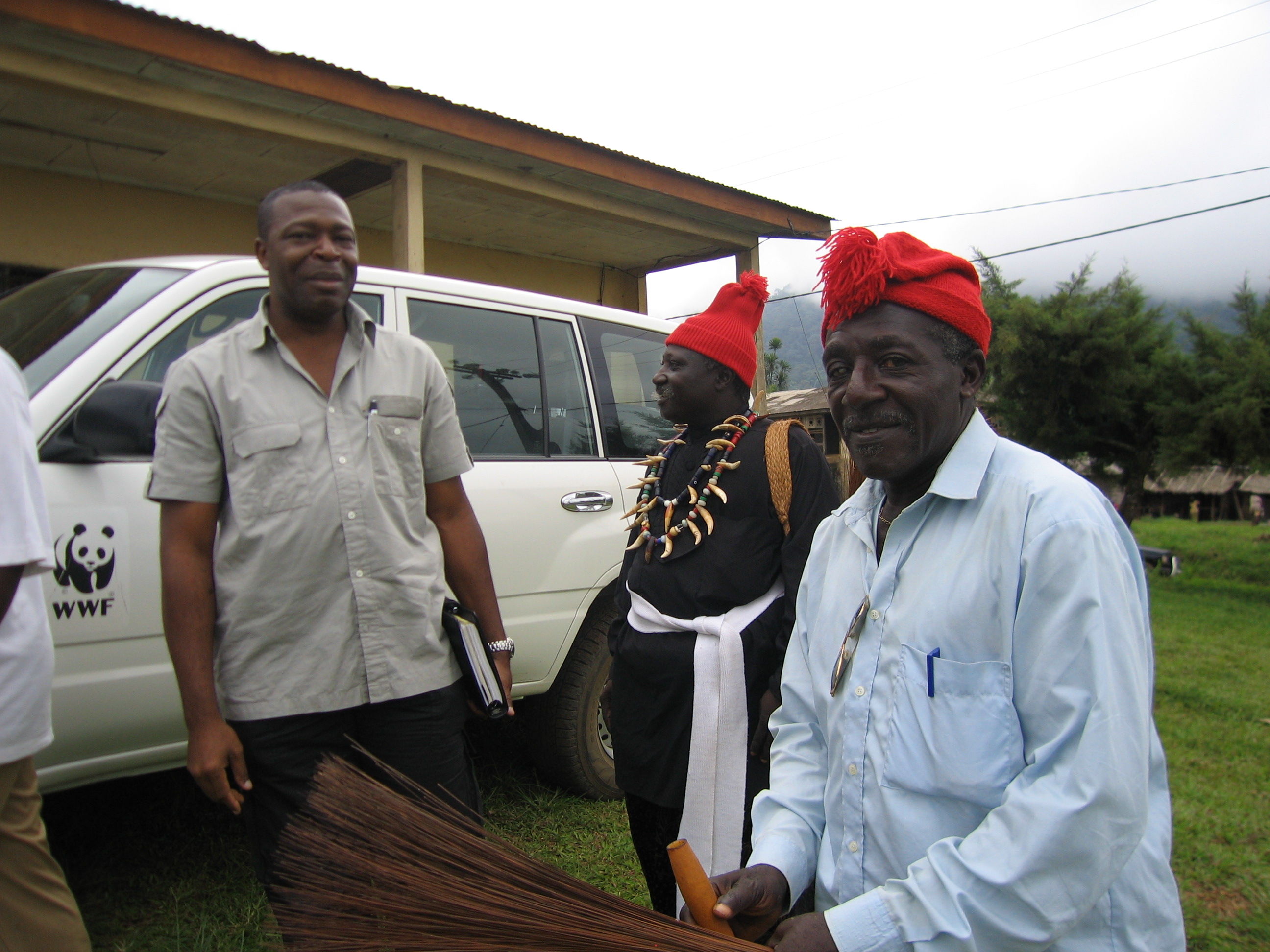 Picking up the shattered shreds of a sacred forest: Kupe Forest ...