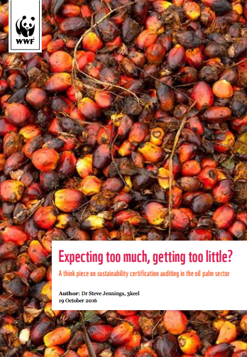 Expecting too much, getting too little? A think piece on sustainability ...