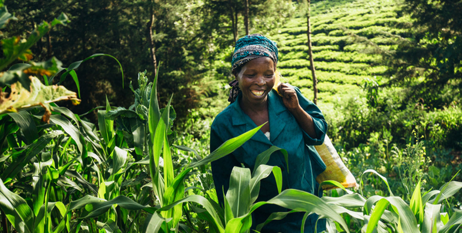 Collaborating to deliver nature-positive food and agricultural systems ...