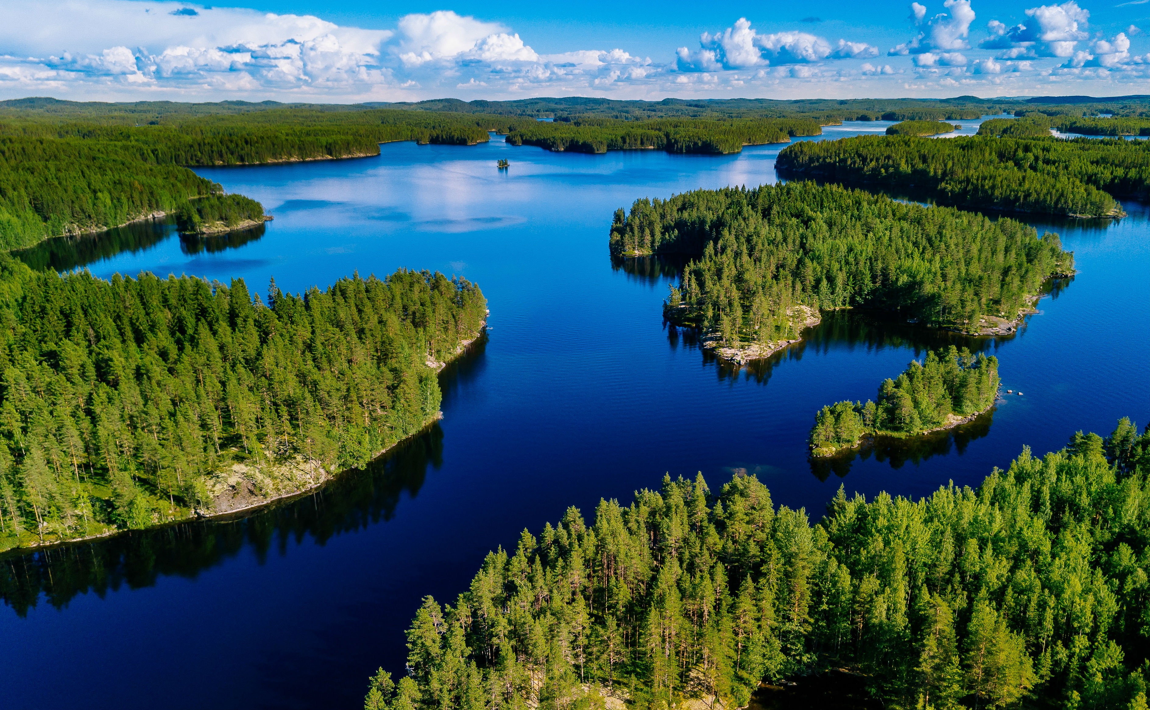 “Stop conspiring to destroy our law!”, urges WWF ahead of critical ...