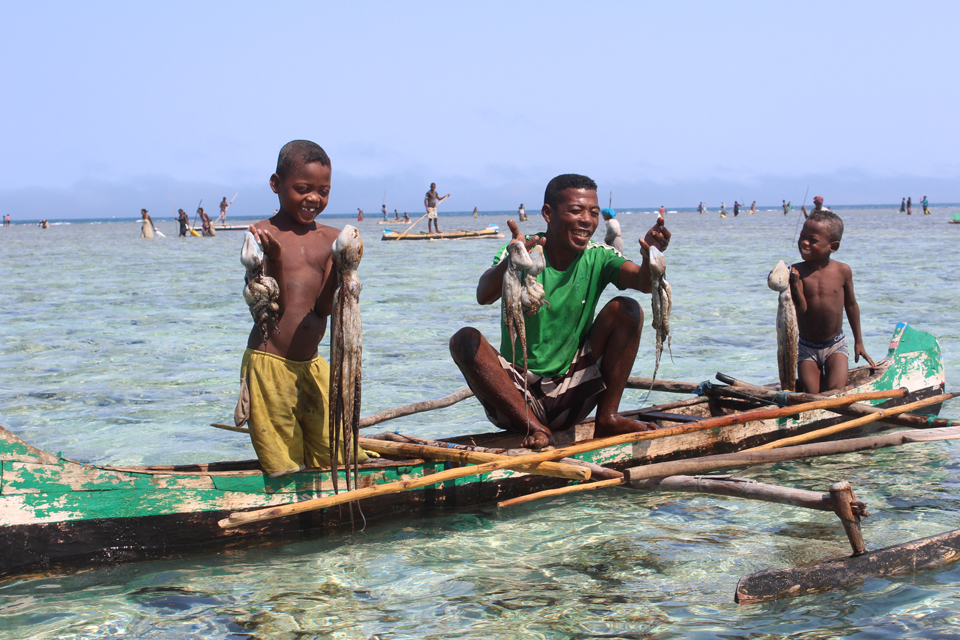First project to improve octopus fishing for Madagascar! | WWF