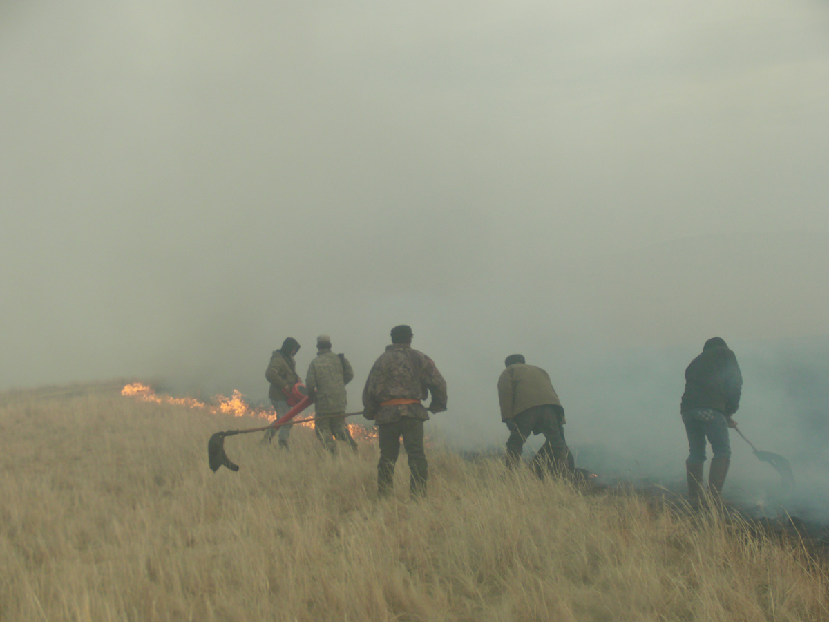 Protected area administration suppressed the wildfire | WWF