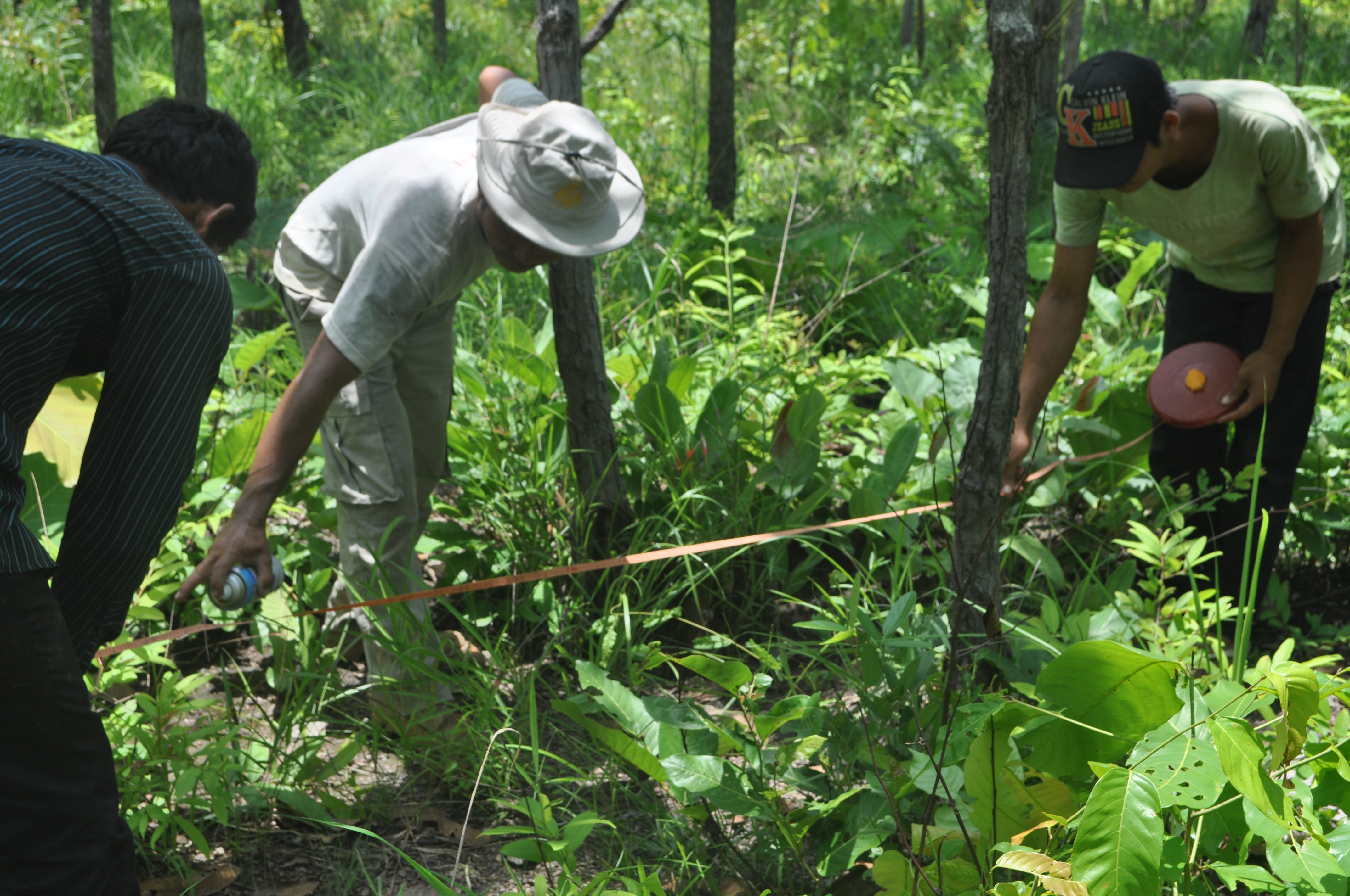 First flora research in the Eastern Plains | WWF