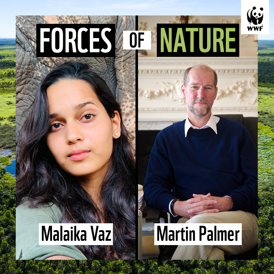WWF launches podcast mini-series featuring youth activists, high ...