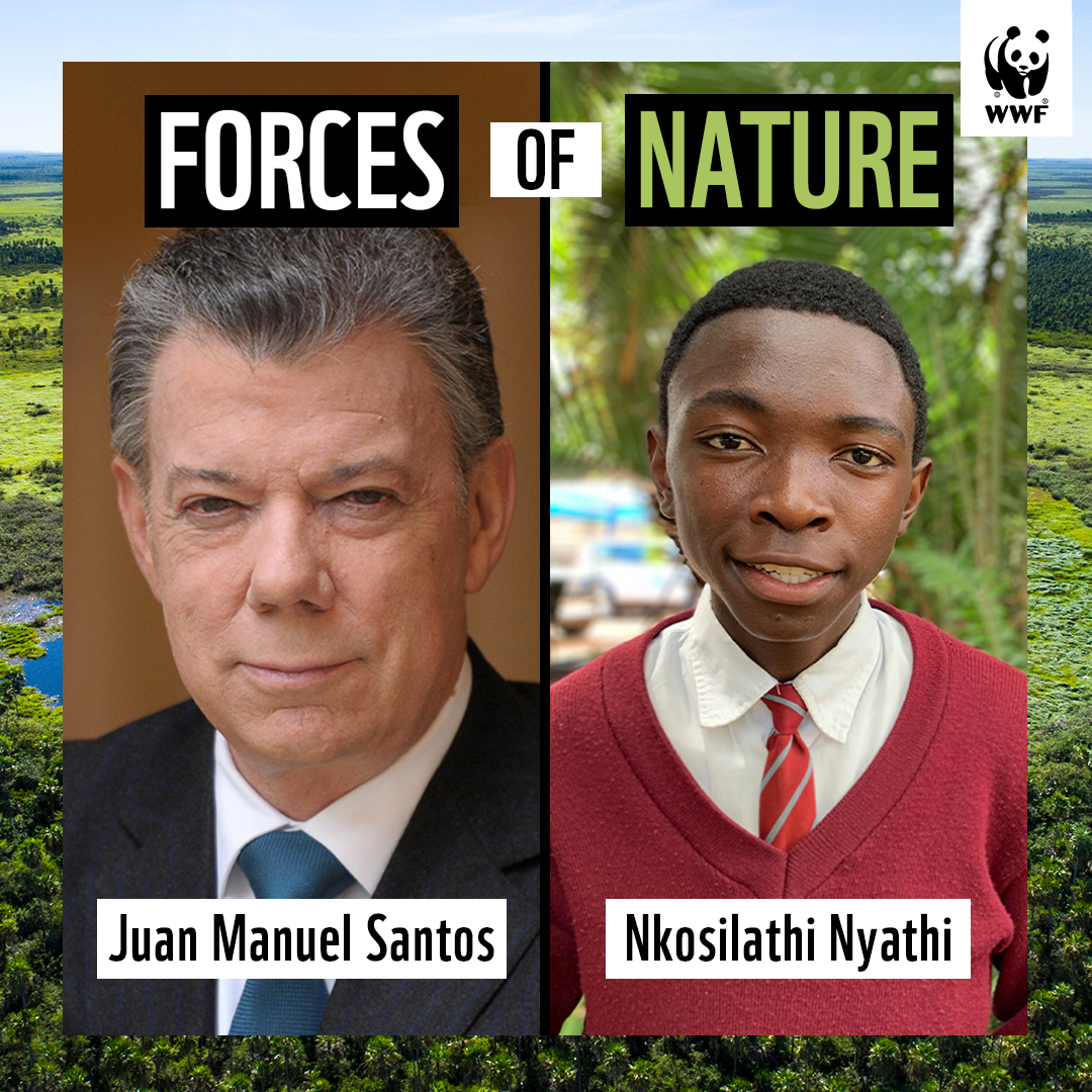WWF launches podcast mini-series featuring youth activists, high ...