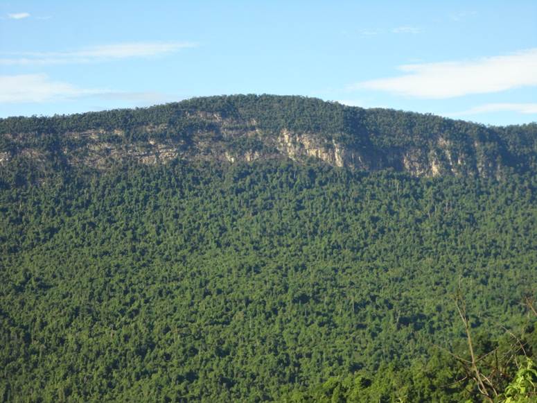 Planting ceremony marks the start of forest restoration in the Annamite ...