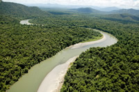 Deep in the perfumed forests of Papua New Guinea | WWF