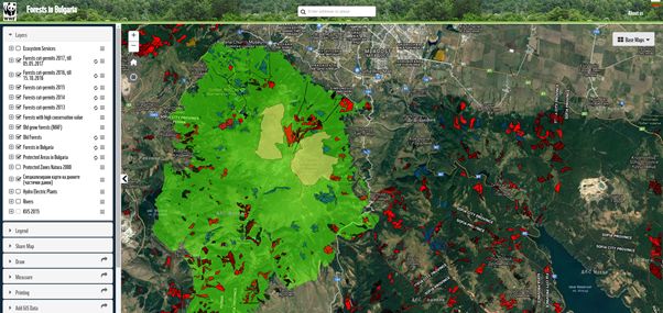 Engaging the Public in the Fight against Illegal Logging | WWF