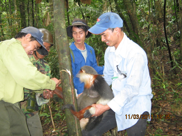 Annamites Carbon Sinks and Biodiversity (CarBi) project - forest guard ...