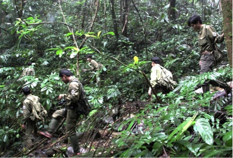 Quang Nam PFES fund commits to supporting forest guards | WWF