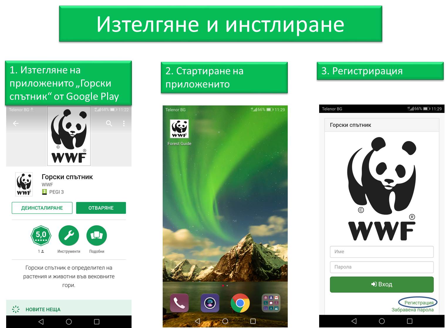 Engaging the Public in the Fight against Illegal Logging | WWF