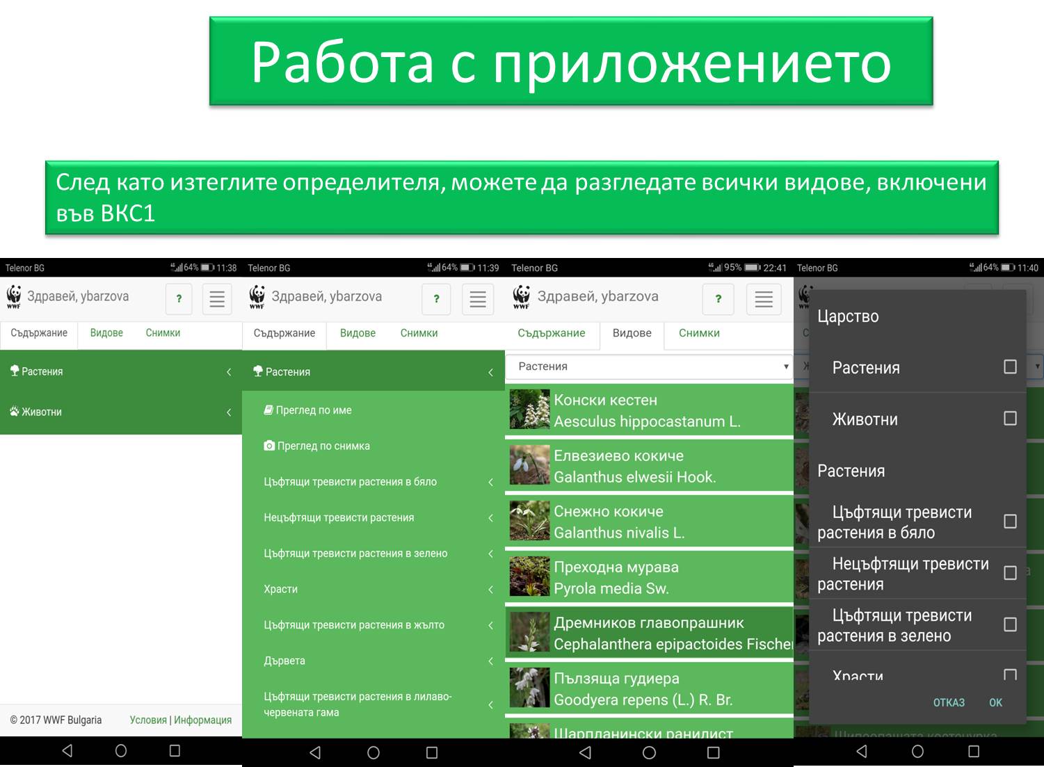 Engaging the Public in the Fight against Illegal Logging | WWF