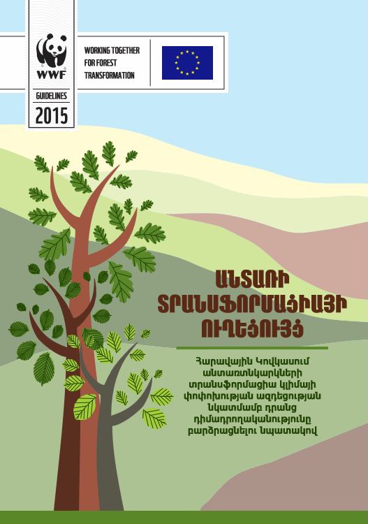 Forest Transformation Guidelines | WWF