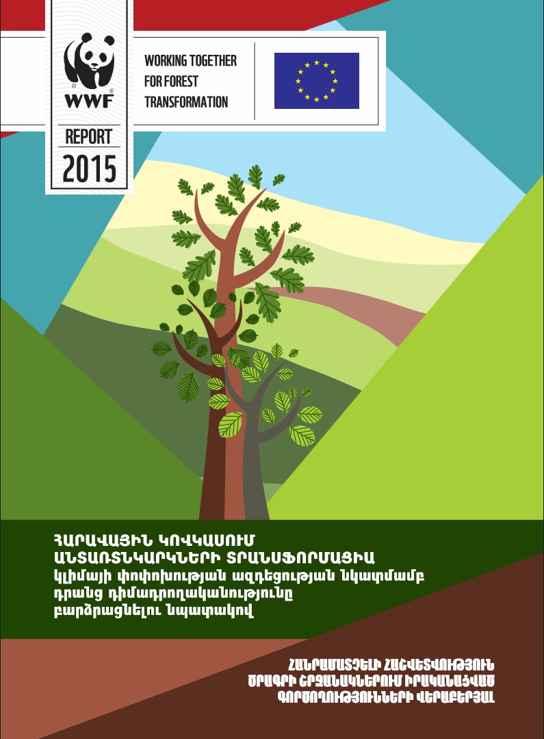 Forest Transformation Project Report | WWF